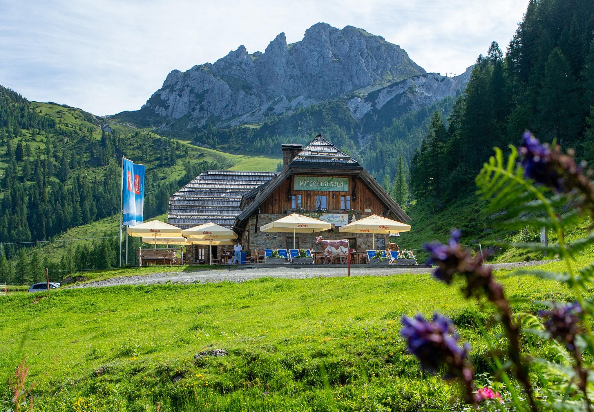 Watschiger Alm - Sommer in Hermagor | Lesachtal